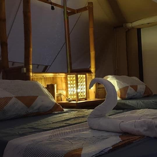 Aloya Deluxe Tent – Acacia & CHAP